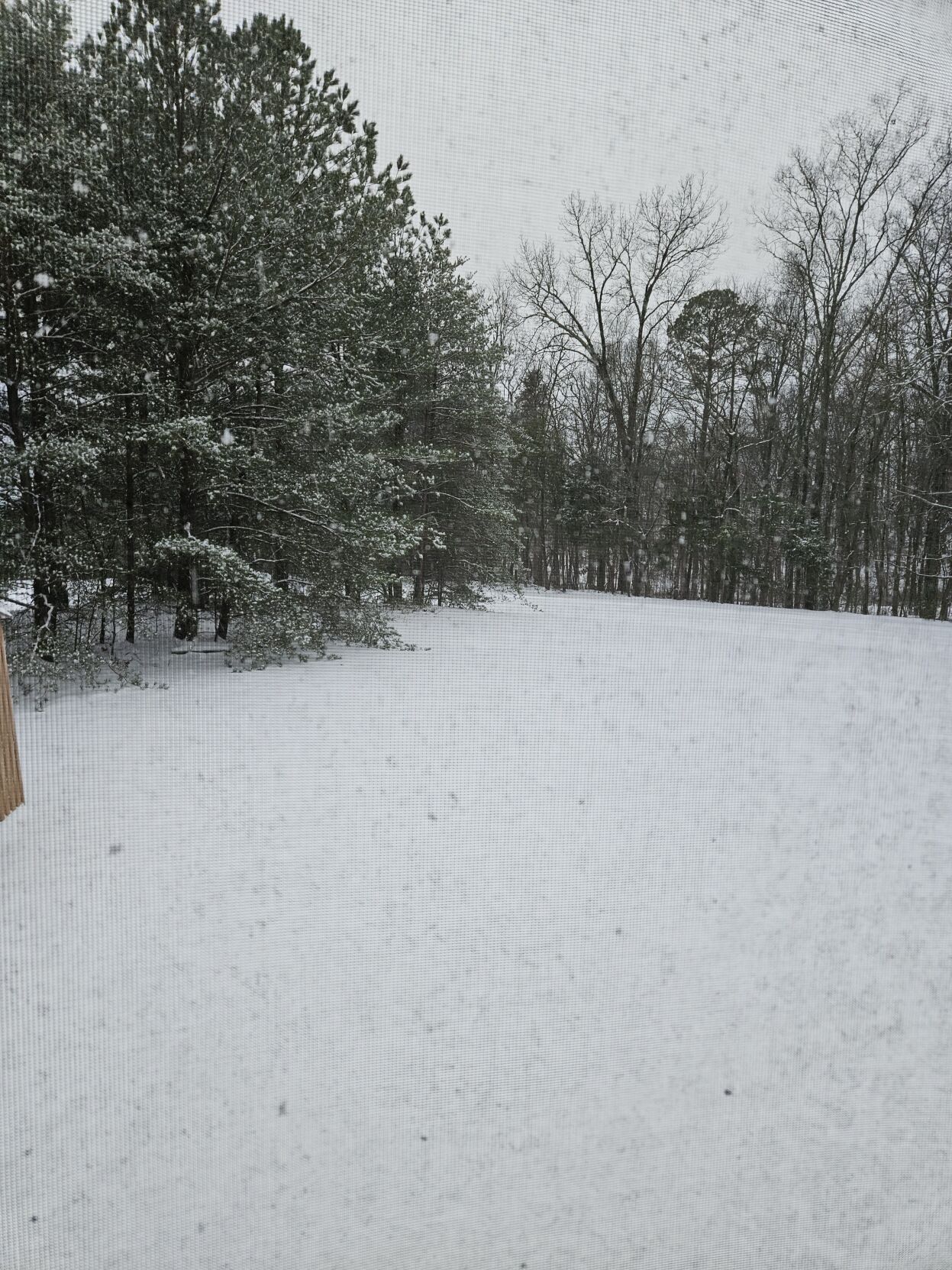 EVEN MORE photos of North Alabama enjoying the first snow of 2025 ...