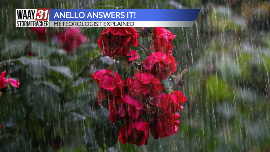 Anello Answers It: What makes a meteorologist a meteorologist? | News ...