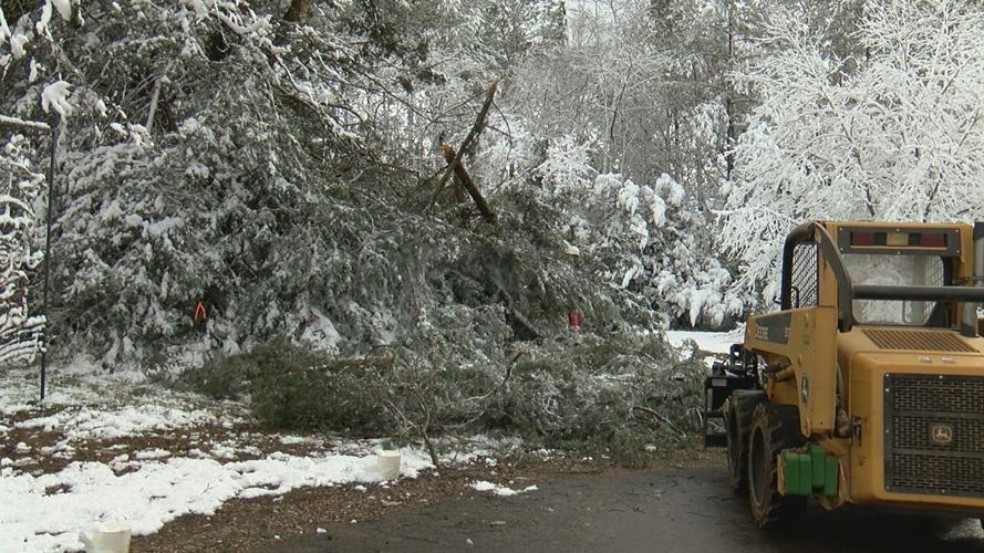 Cleanup underway after weight of snow brings down trees, branches in ...