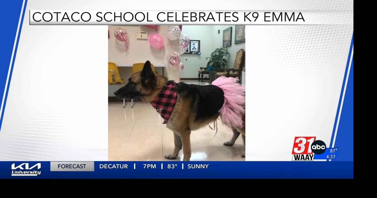 Cotaco School helps Morgan County Sheriff's Office K9 celebrate her ...