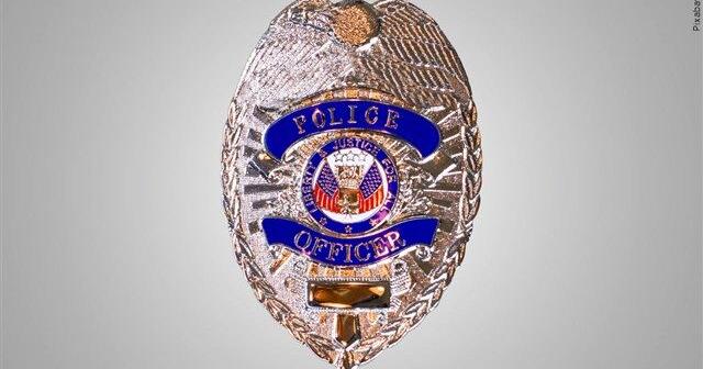 New Powell chief of police appointed Wednesday following 4 officer ...