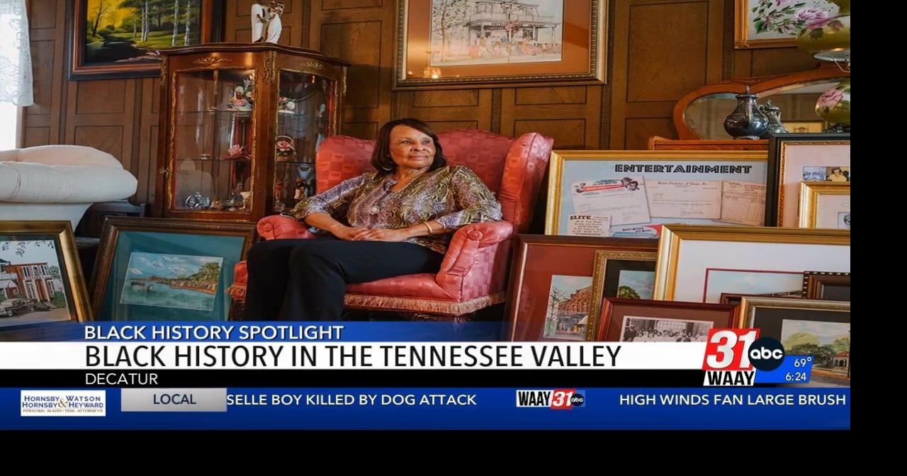Decatur artist imbues paintings with taste of Tennessee River | Video ...