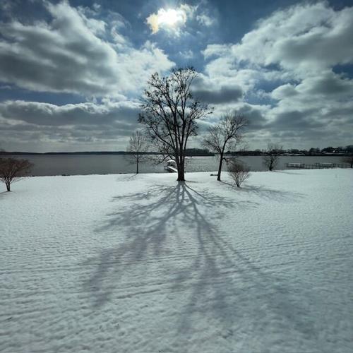 EVEN MORE photos of North Alabama enjoying the first snow of 2025 ...