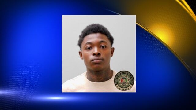 Pot, pills, stolen gun found in Madison County Sheriff’s Office bust ...