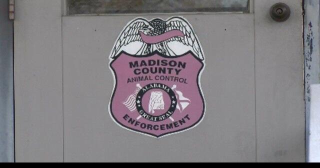 Madison County Animal Control weighs in on two fatal North Alabama dog ...