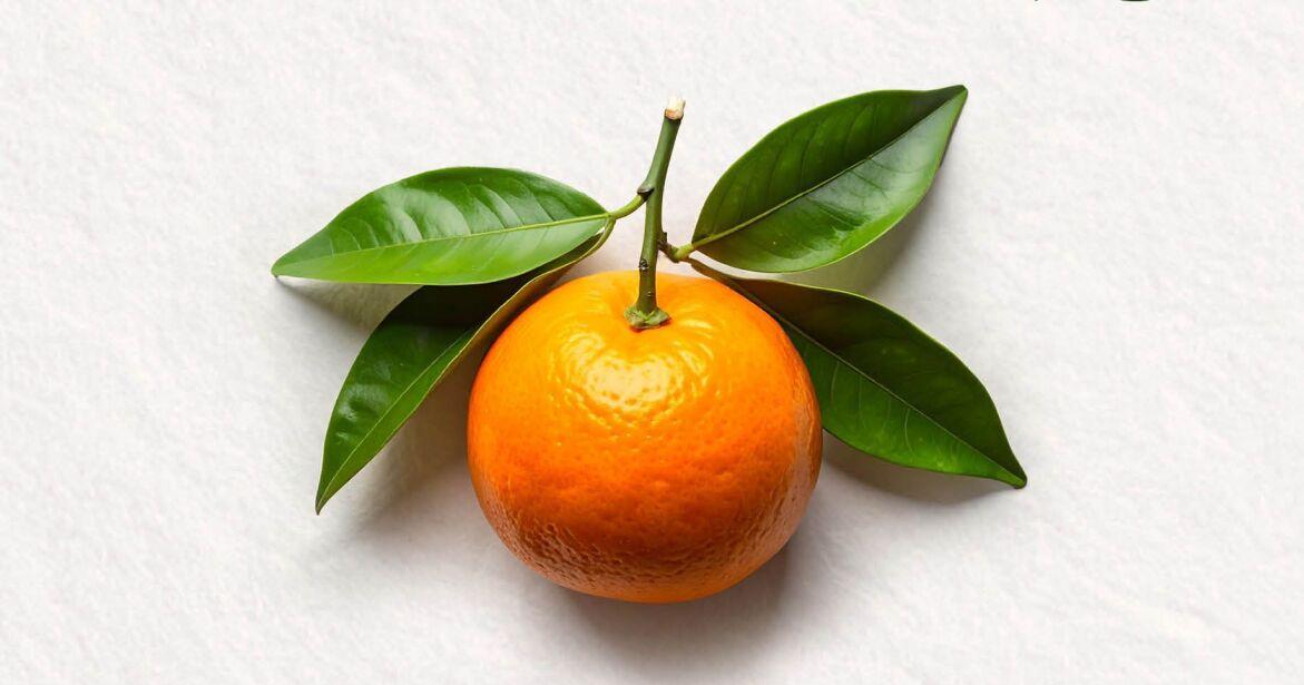 Do you feel like you matter to other people? It’s the key to thriving ...