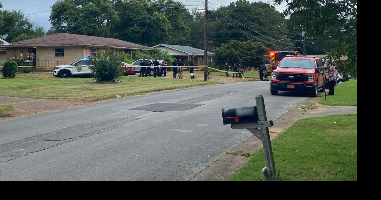 Huntsville Police: Man murdered baby son, took his own life before ...