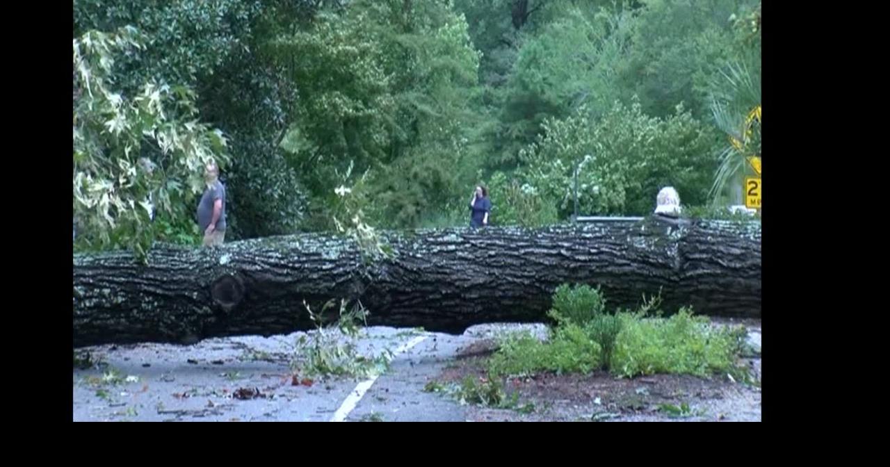 Hurricane Helene leaves destruction behind in some parts of Columbia ...