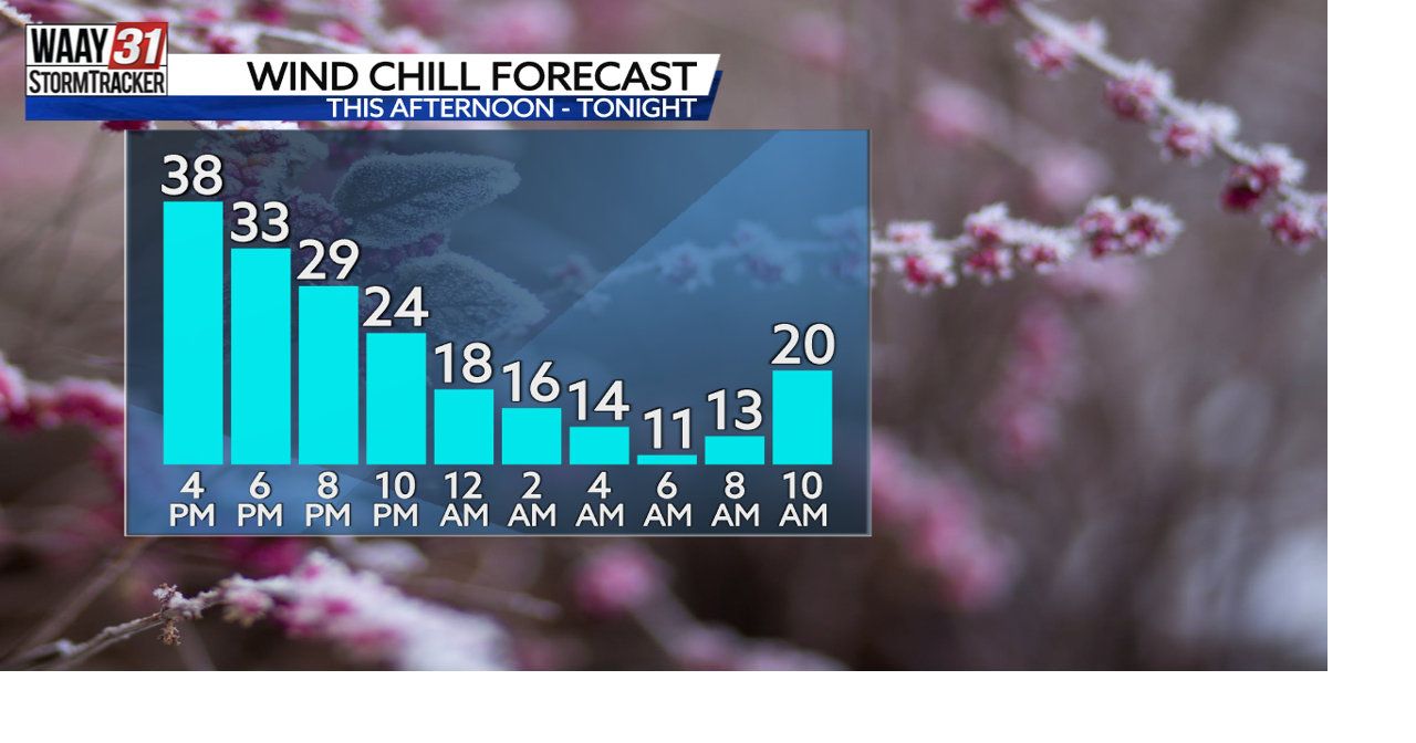 Cooler and gloomy Tuesday, bitter cold Wednesday | News | waaytv.com