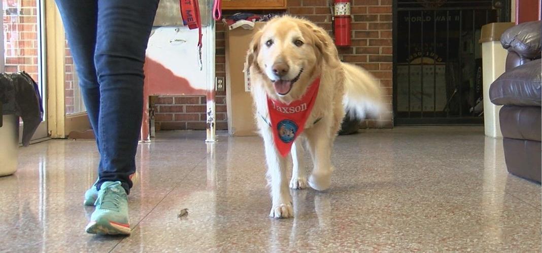 VFW Post, Rescue Dog Honored Nationally for #StillServing Huntsville Community | News | waaytv.com