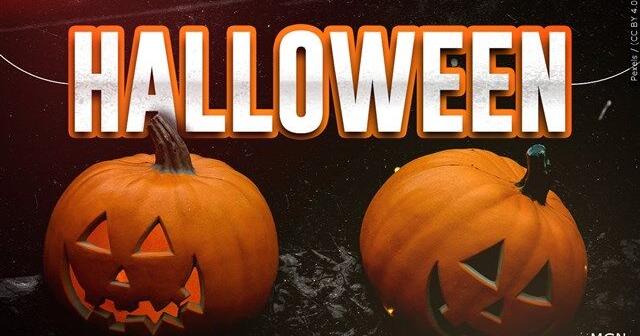 Here's a list of Halloween events in North Alabama | News | waaytv.com