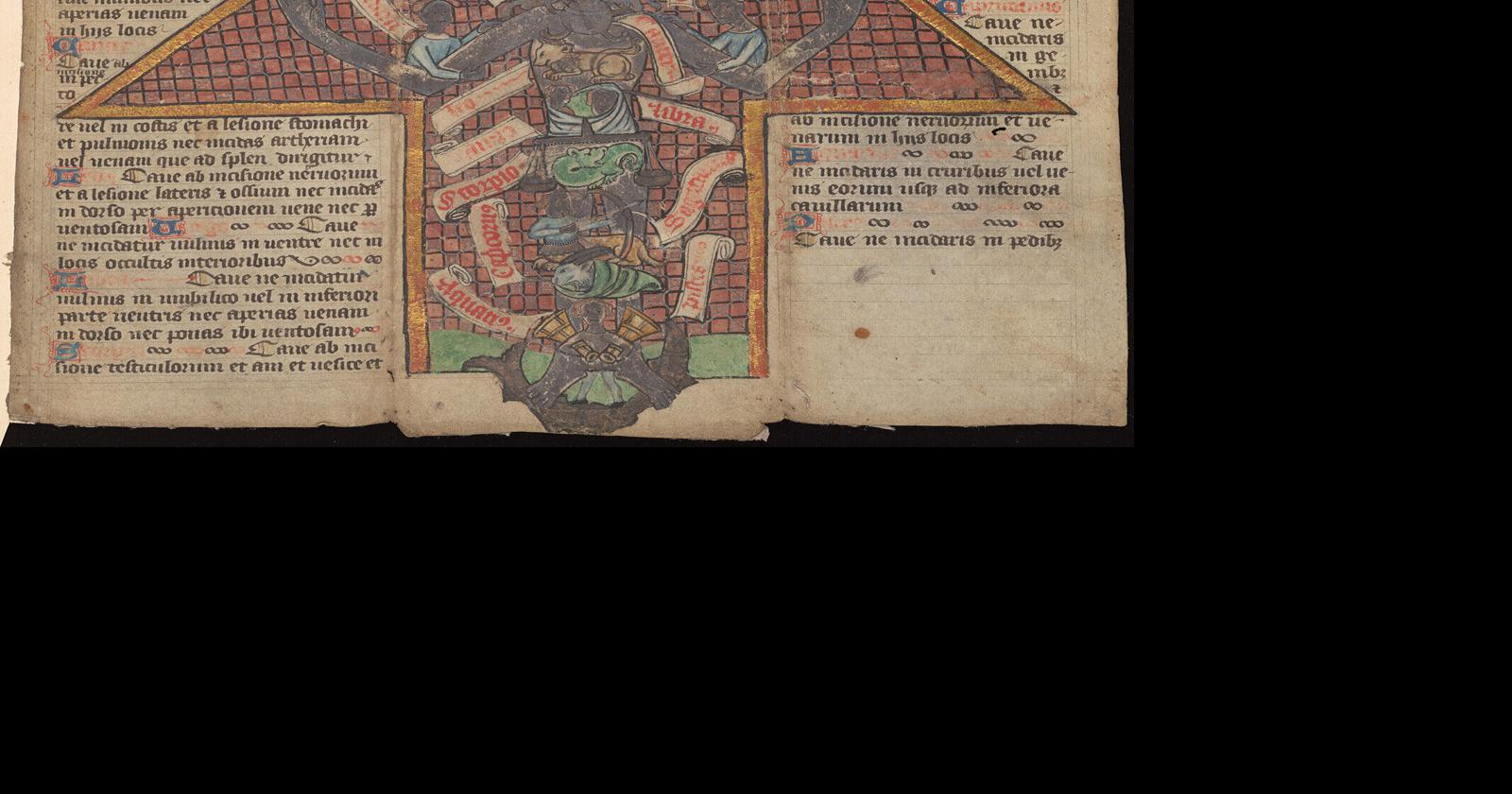 Gruesome medieval remedies revealed in resurfaced manuscripts | News ...