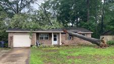 Storms knock down trees, power lines in Limestone, Morgan counties ...