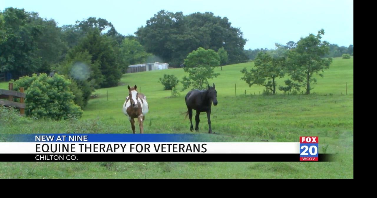 Chilton County ranch offers horse therapy to veterans, responders ...