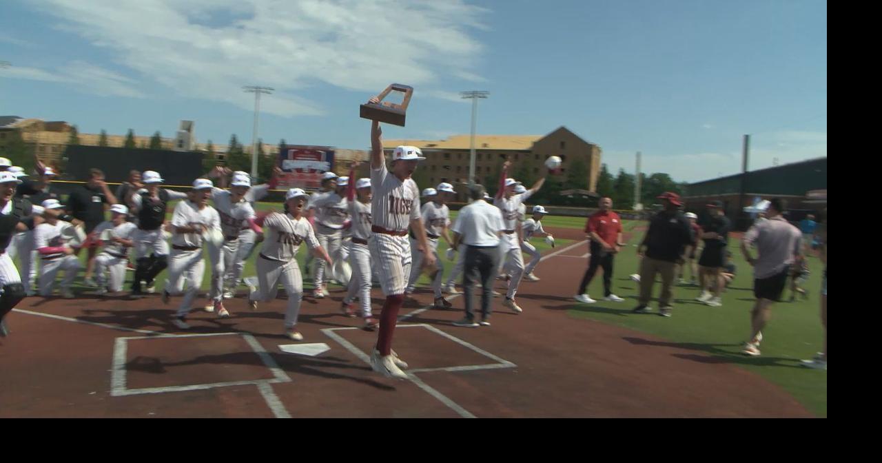 Deshler’s Jacob Alexander leads Tigers To First State Baseball ...