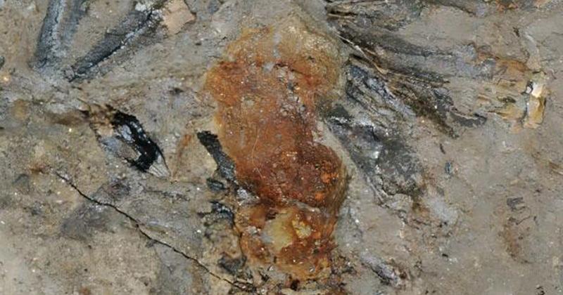 The ‘Great Dying’ wiped out 90% of life, then came 5 million years of ...