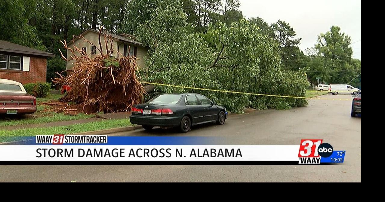 Storm Damage Across North Alabama | Video | waaytv.com