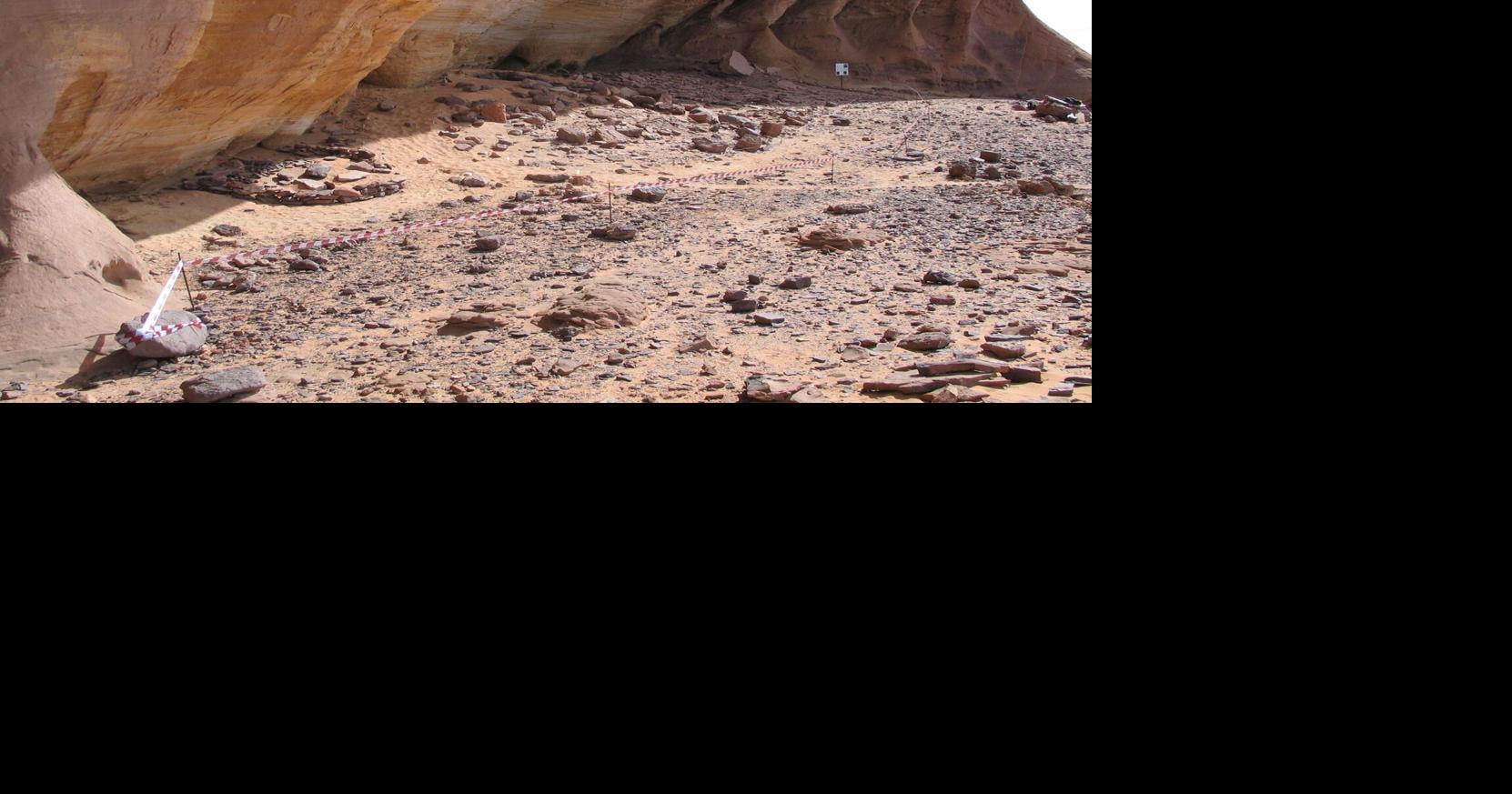 Ancient DNA sheds light on origins of 7,000-year-old Saharan mummies ...
