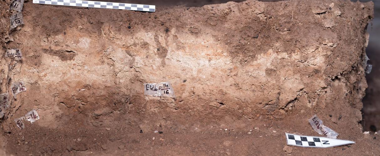 Oldest known cremation pyre in Africa reveals mysterious woman who ...