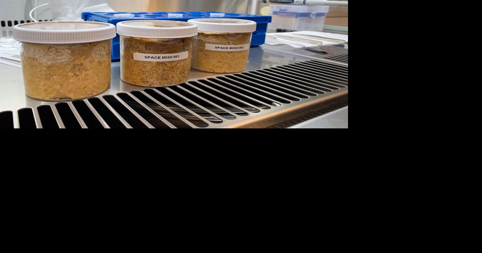 Scientists sent beans into orbit and made ‘space miso.’ Here’s how it ...