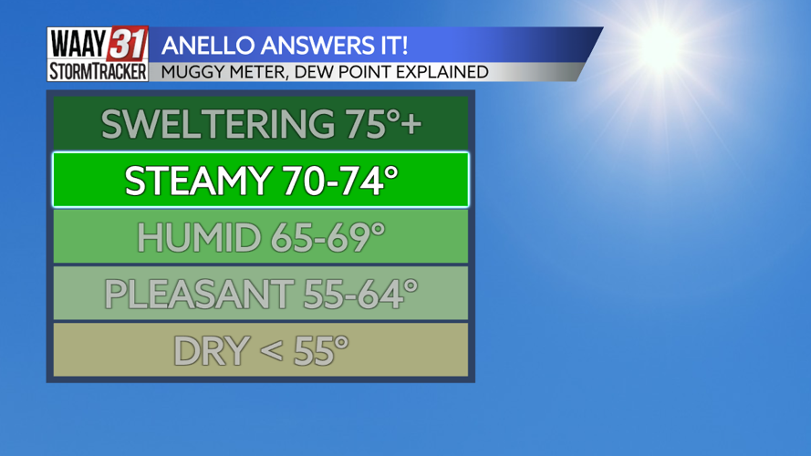 Anello Answers It: Relative Humidity vs. Dew Point Explained | News ...