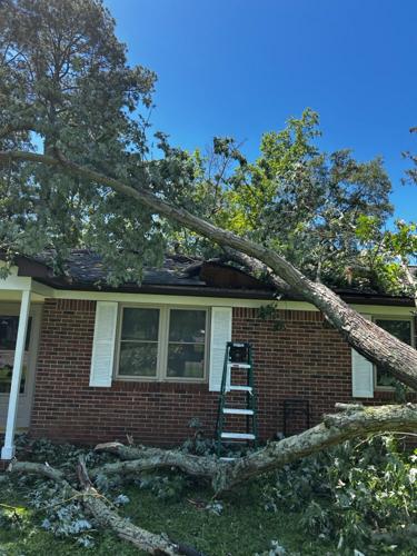 Here's a look at storm damage in North Alabama from Tuesday's severe ...