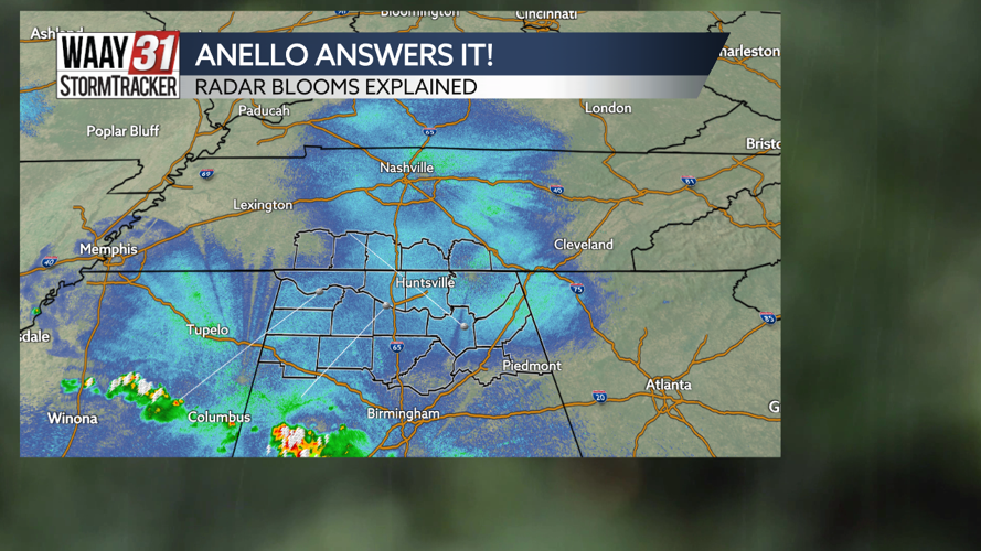 Anello Answers It: Radar Blooms Explained | News | waaytv.com
