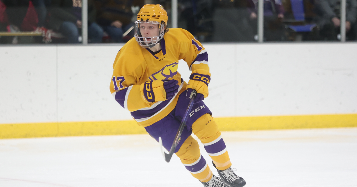 Former UAH forward Noah Finstrom signs with Havoc | News | waaytv.com