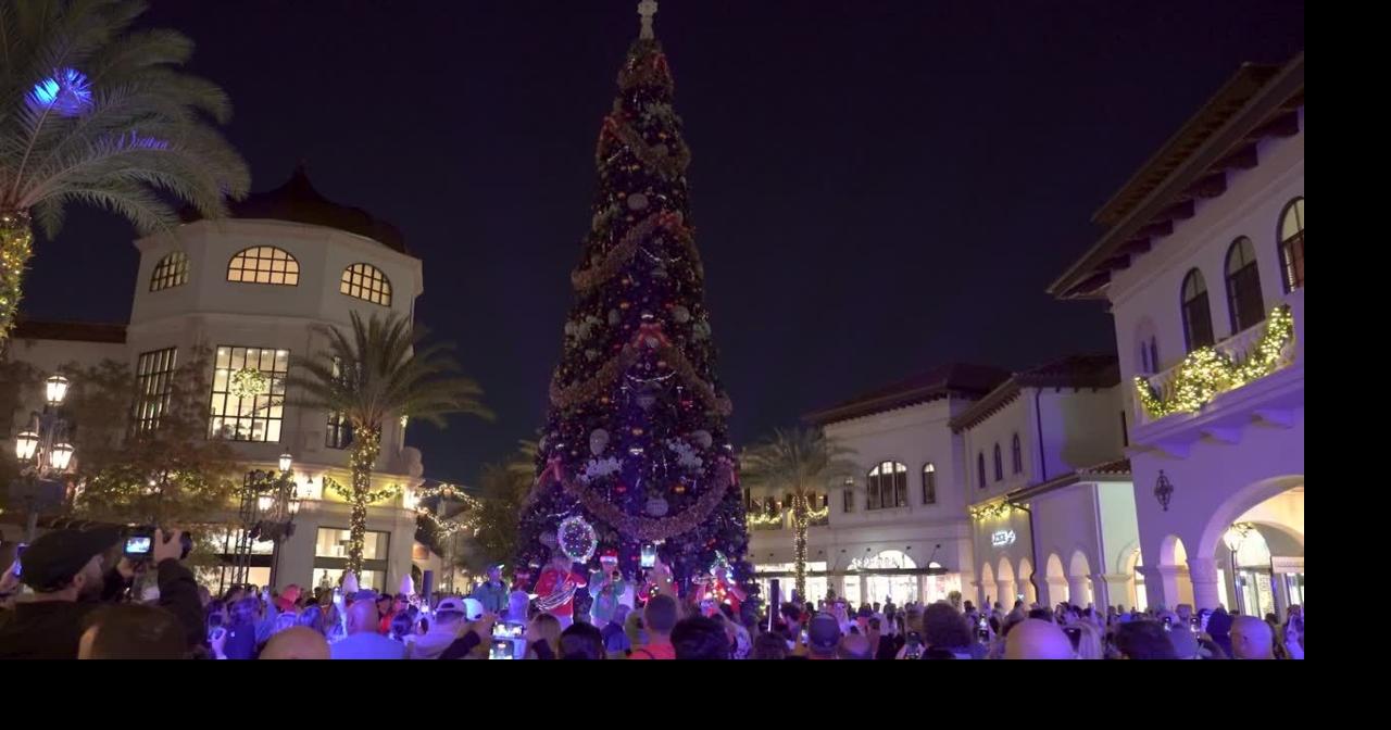Watch the Magical Christmas Tree Lighting Ceremony at Disney Springs ...