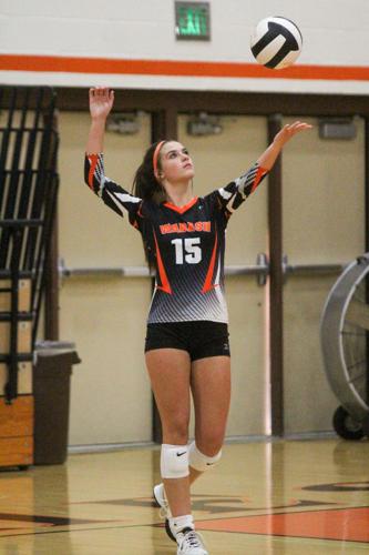 Stumbo commits to Central State University | Sports | wabashplaindealer.com