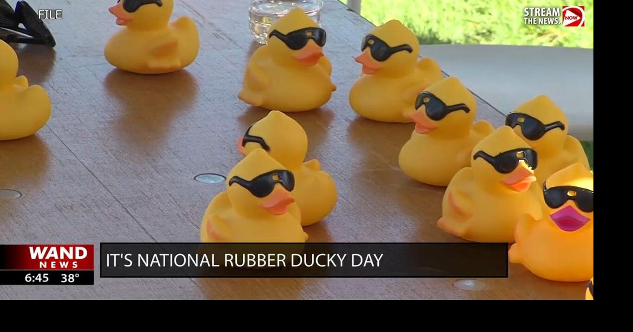 Something to quack about! Today is National Rubber Ducky Day! | Videos ...