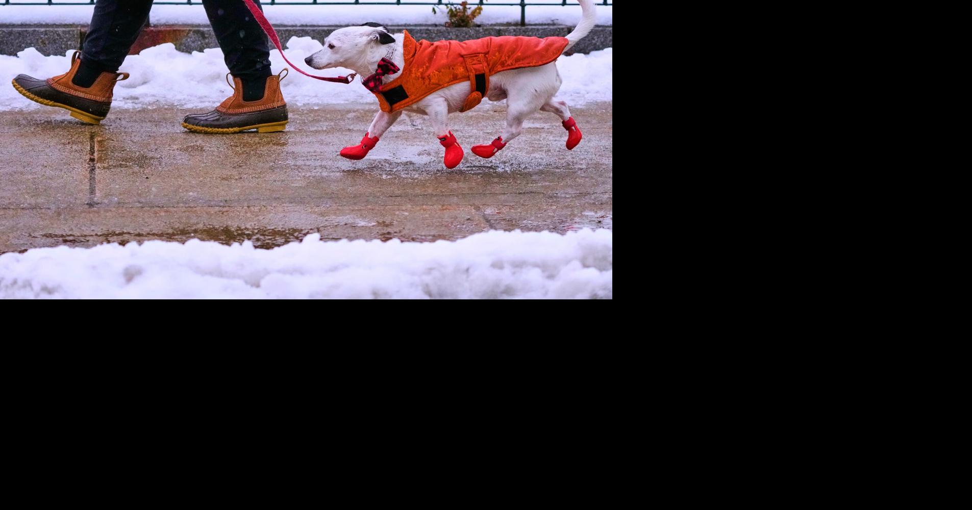 A bomb cyclone brings blizzards to the Midwest before turning east ...