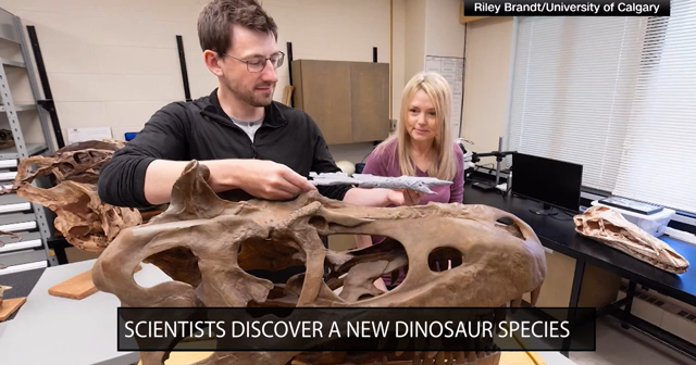 Scientists discover new dinosaur species | Videos | wandtv.com