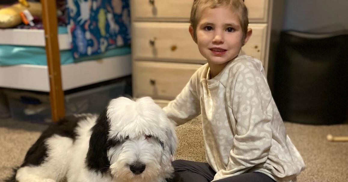 Family reaches goal to bring service dog home | News | wandtv.com