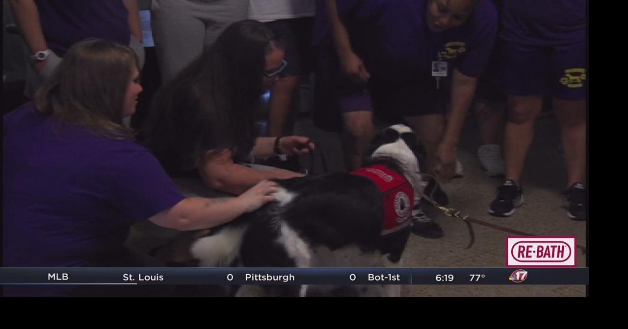 Service dog saves a veteran's life | News | wandtv.com