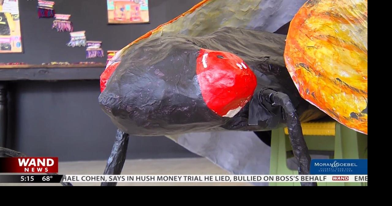 Amid historic cicada emergence, one central Illinois art gallery ...