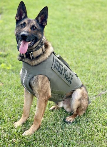ISP K9 Loki gets donation of body armor | News | wandtv.com