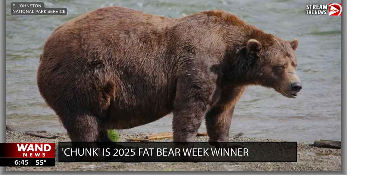 Bear-ly Beatable: Winner crowned for 2025 Fat Bear Week | Videos ...