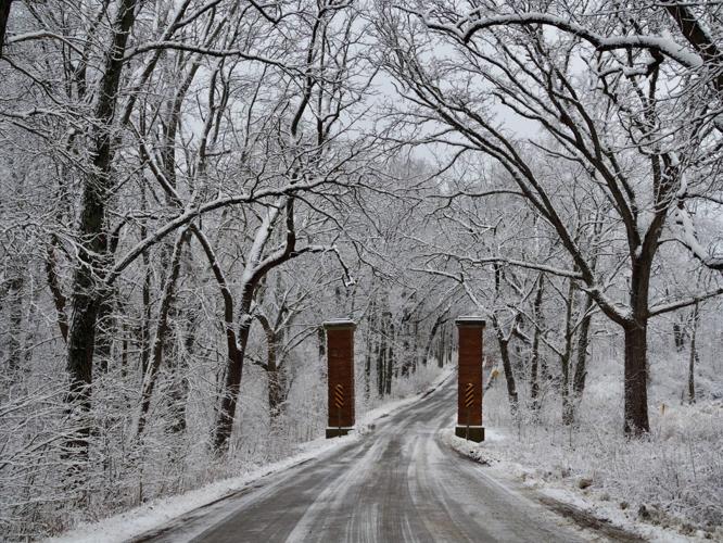 Station Theatre Holiday Market showcases local artists in Urbana ...