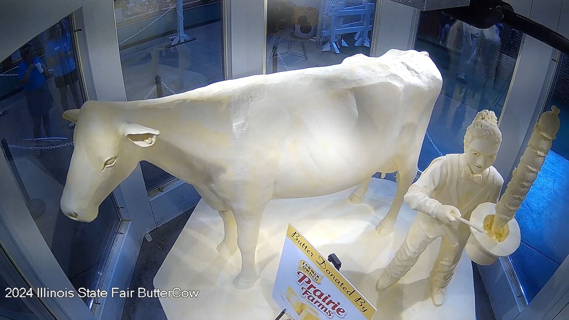 'Showtime' for this year's state fair butter cow | News | wandtv.com