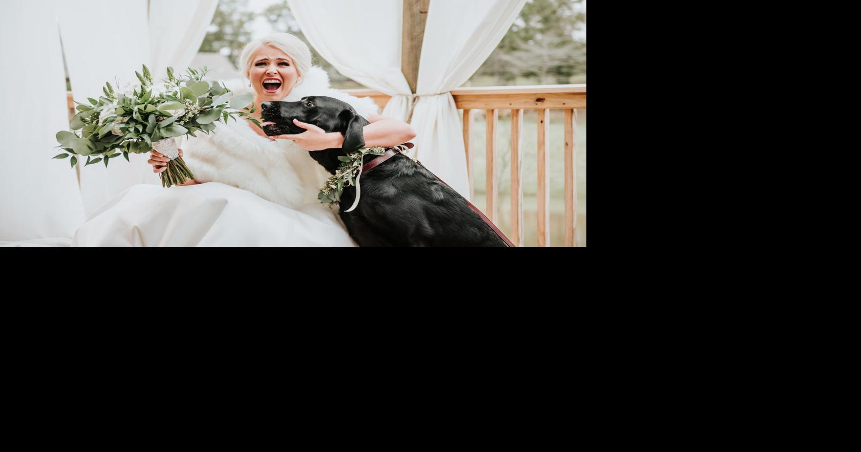 Bride shares 'first look' with beloved dog | News | wandtv.com