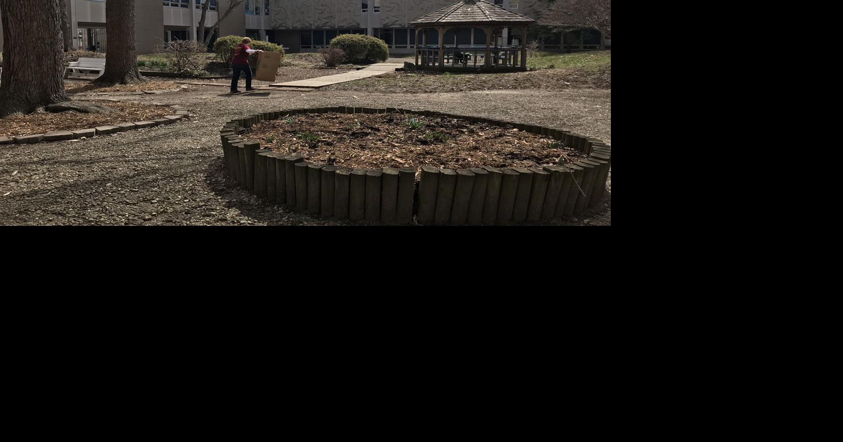 Volunteering in honor of Austin Cloyd | Top Stories | wandtv.com