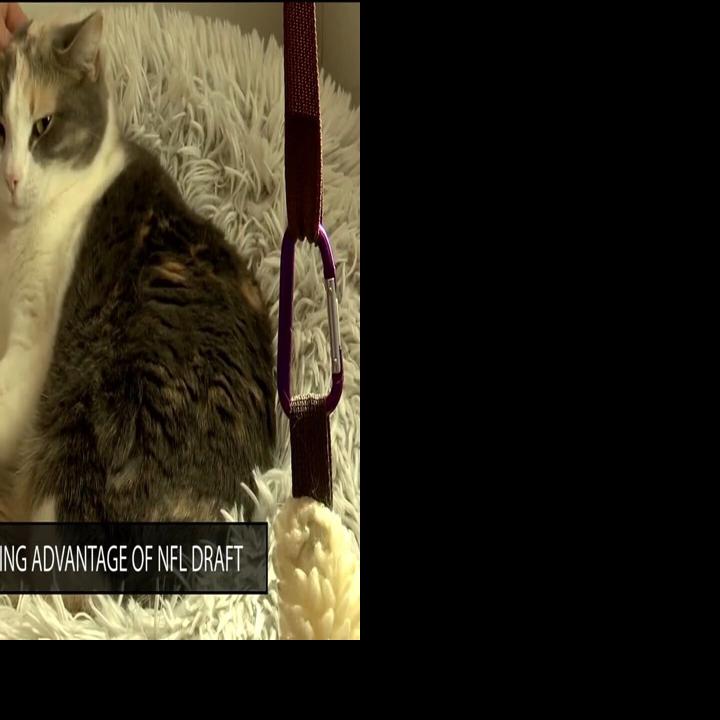 Caterpillar expands its Decatur campus first time since 1997 | News ...