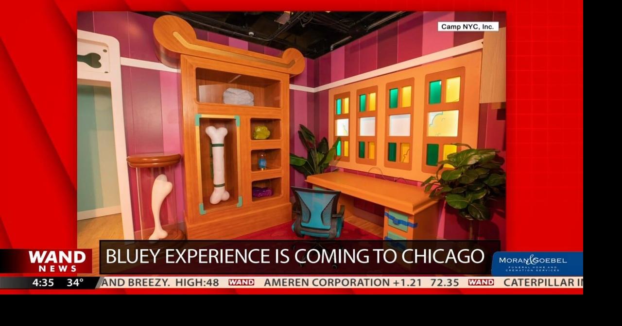 Immersive ‘Bluey' adventure coming to Chicago next summer | News ...