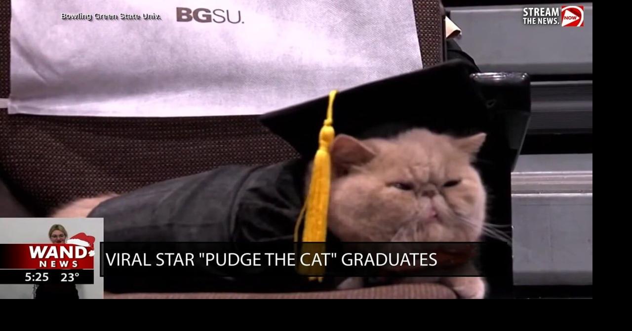 Viral star 'Pudge the cat' graduates | Videos | wandtv.com