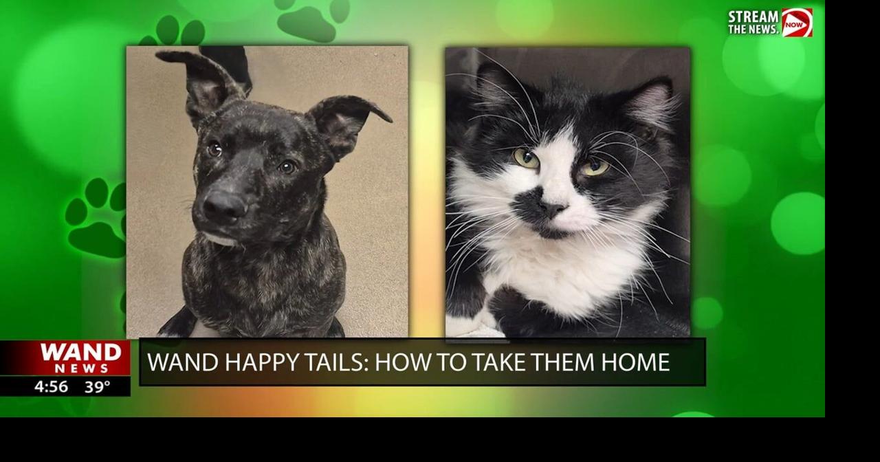 WAND's Happy Tails featuring Velcro George and Sprout | Community ...