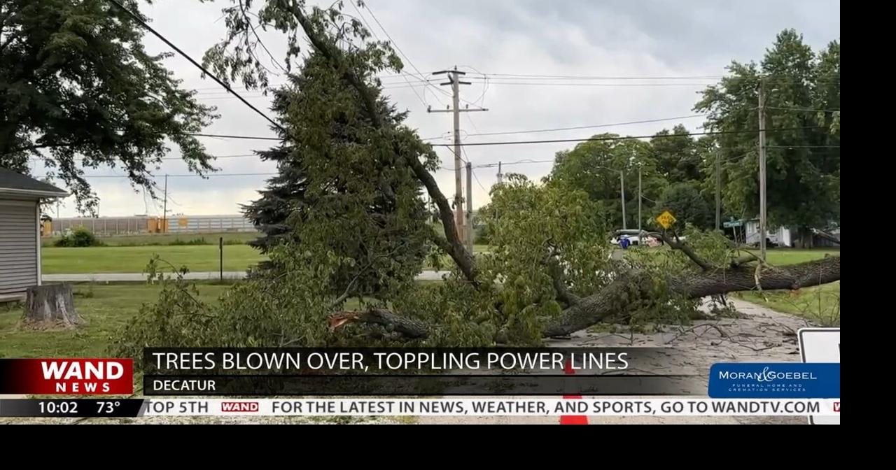 Strong winds leave tree branches and power lines down across Decatur ...