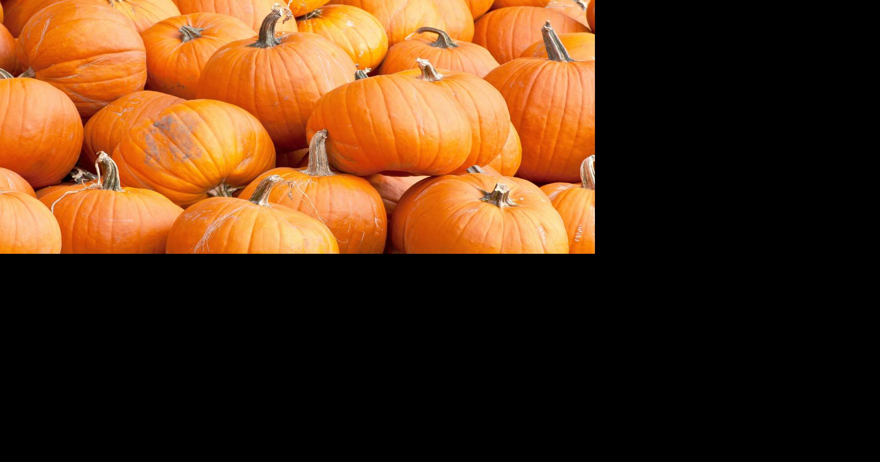 Springfield to host 5th annual Pumpkin Smash | Community | wandtv.com