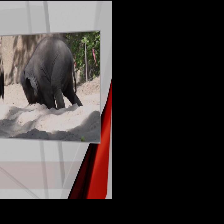 WAND Interactive Radar | Weather | wandtv.com