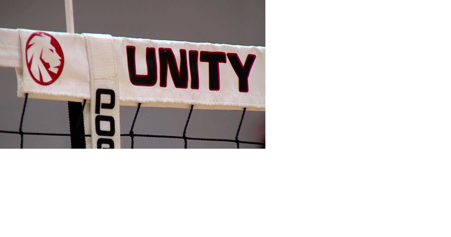 Donna Dulle hired as Decatur Unity Christian's new VB coach | Sports ...